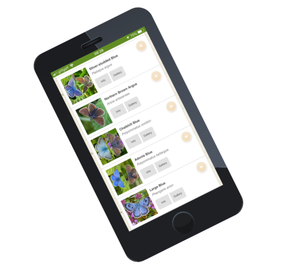 Citizen science - Thames Basin Heaths